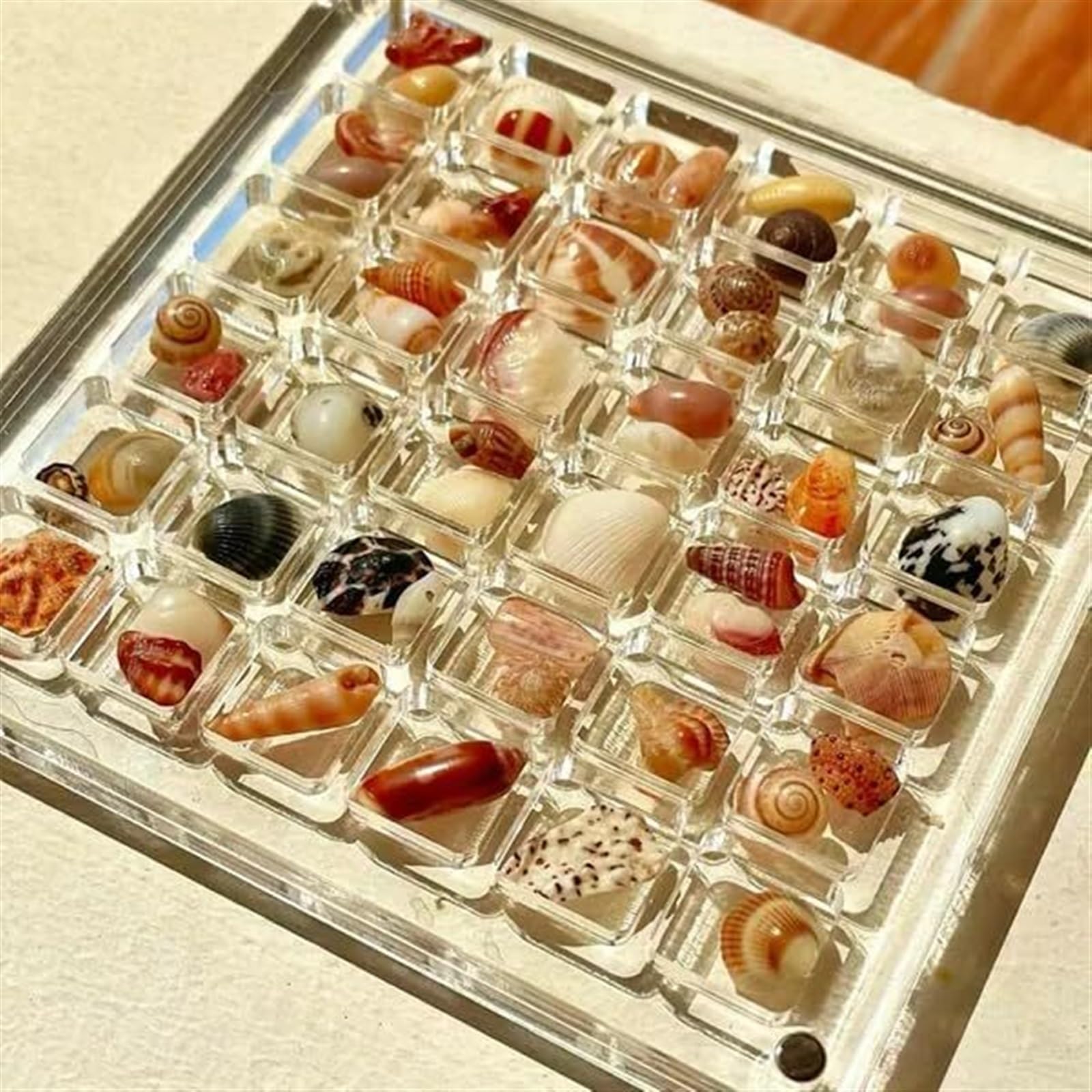 SISIRONG Acrylic Magnetic Seashell Display Box,2024 New 36/64/100 Grids Clear Acrylic Seashell Display Box,Small Craft Organizers Container for Bead, Nail, Jewelry ( Color : 100 Grids ), 1233344