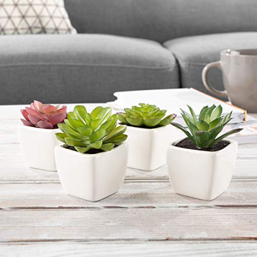 Faux Succulents – Assorted Lifelike Plastic Greenery Arrangements Decorative Ceramic Pots for Indoor Home or Office Décor by Pure Garden (Set of 4)