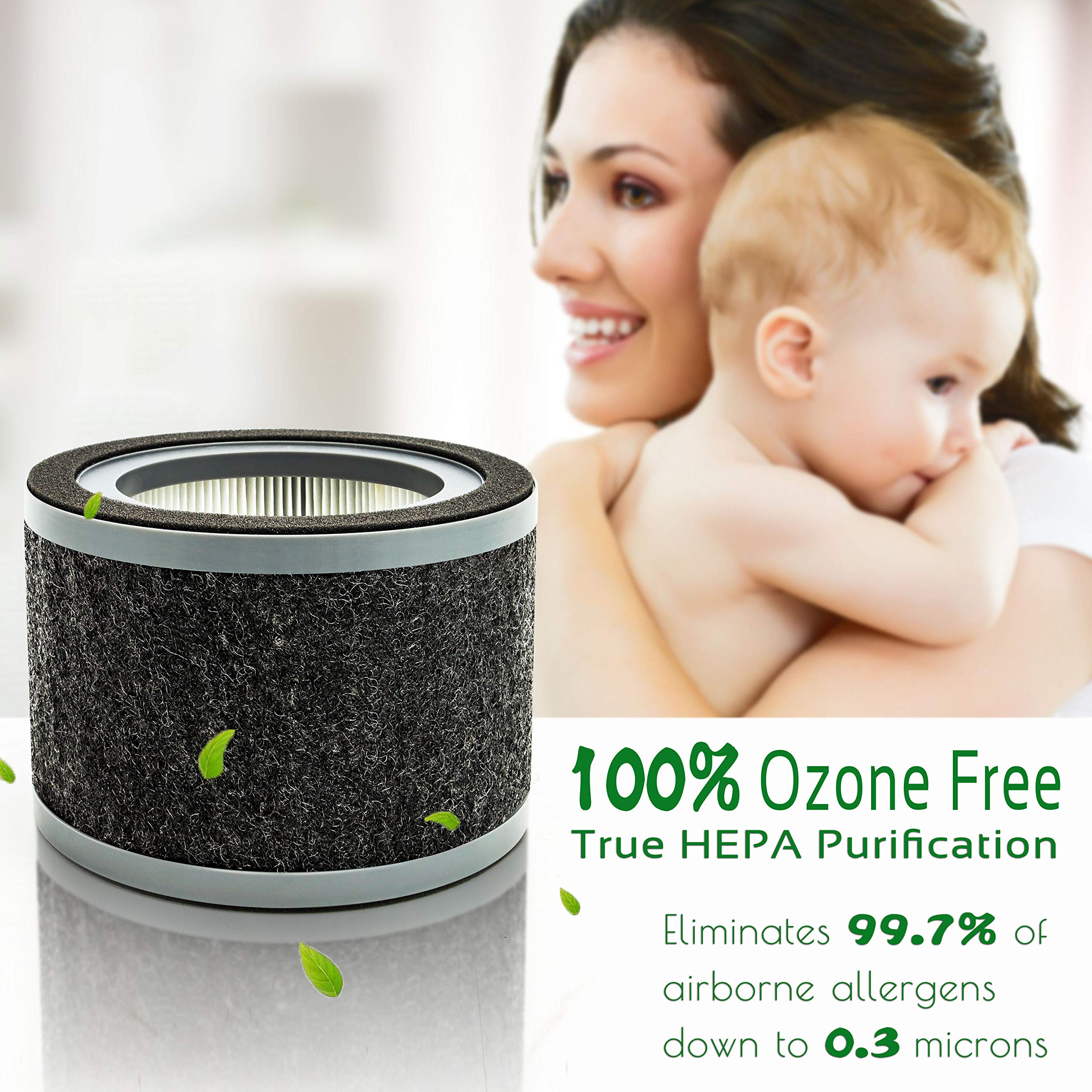 Flintar FLT4200 Premium H13 True HEPA Replacement L Filter, Compatible with GermGuardian Air Purifier Models AC4200 and AC4200W, Filter Size L, Part Number FLT4200 (1)