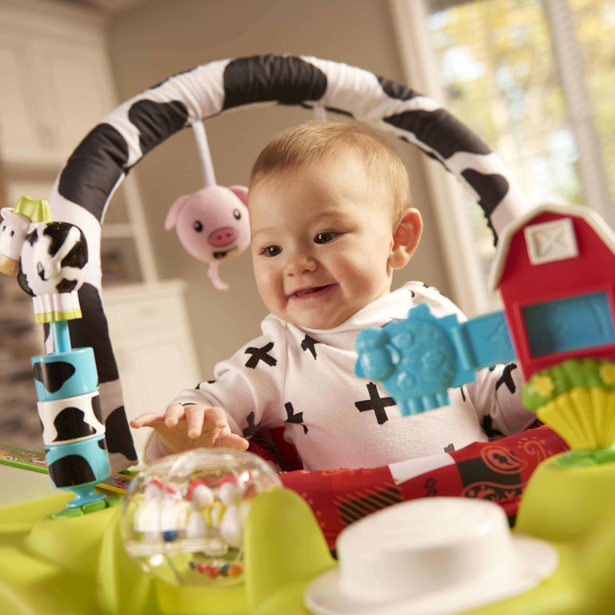 ExerSaucer Activity Center, Mega Playful Pastures