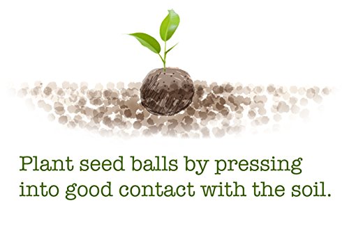 Our Finest Seed Bomb Matrix (TM) - Makes Over 200 1/2" Seed Balls