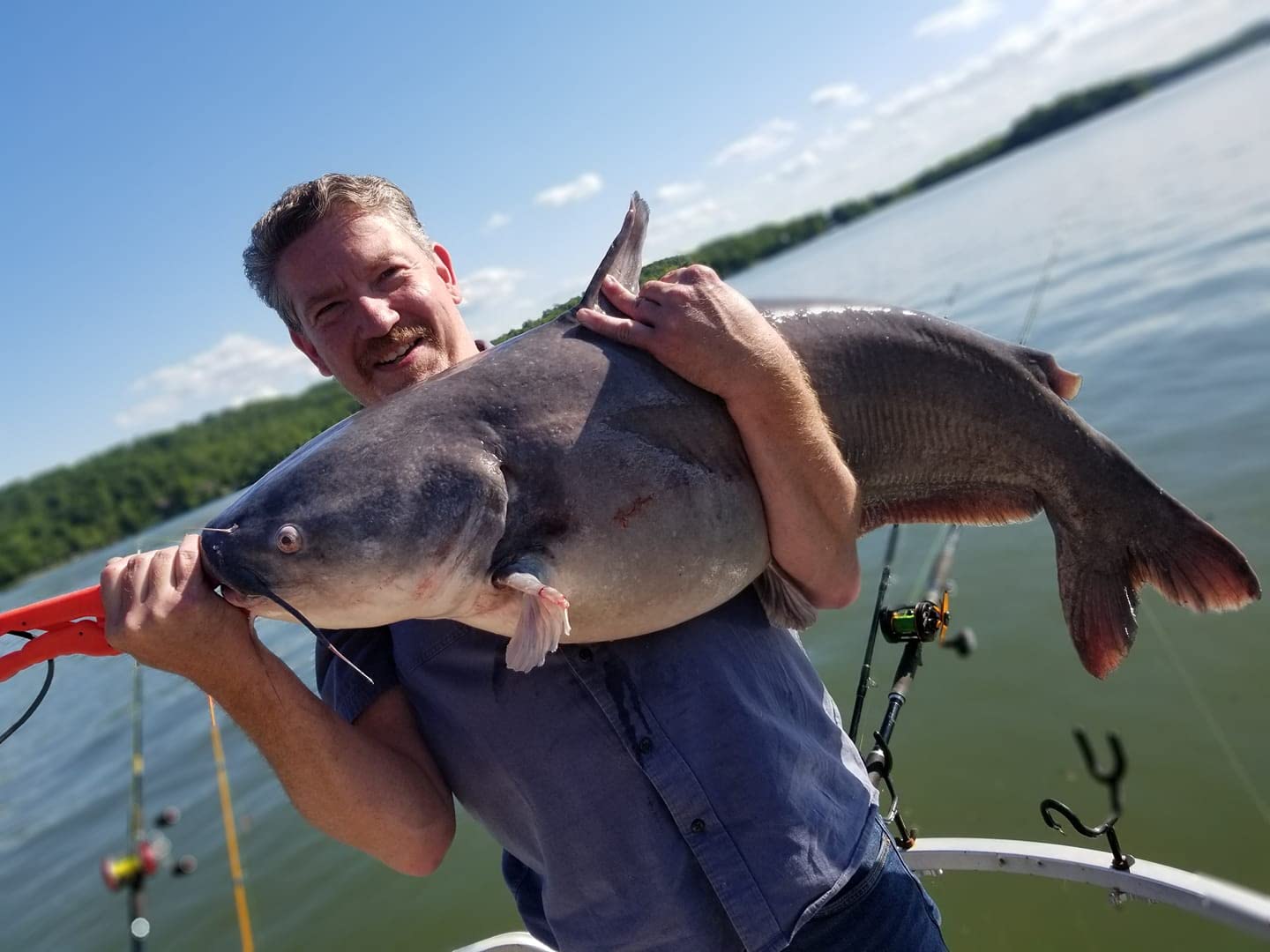FIRE STIK The 7'6" Catfish Casting Rod Fishing