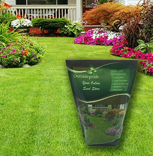 Outsidepride Legacy Fine Fescue Shade Tolerant, Soft, Turf, Lawn Grass Seed Blend - 5 LBS