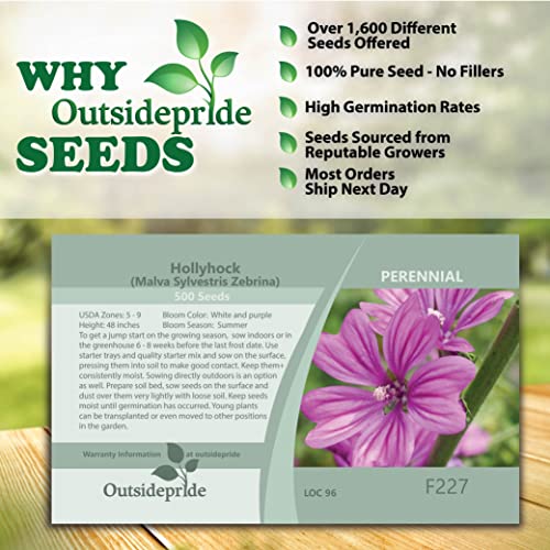 Outsidepride Malva Sylvestris French Hollyhock Zebrina Plant Garden Flower Seed - 500 Seeds