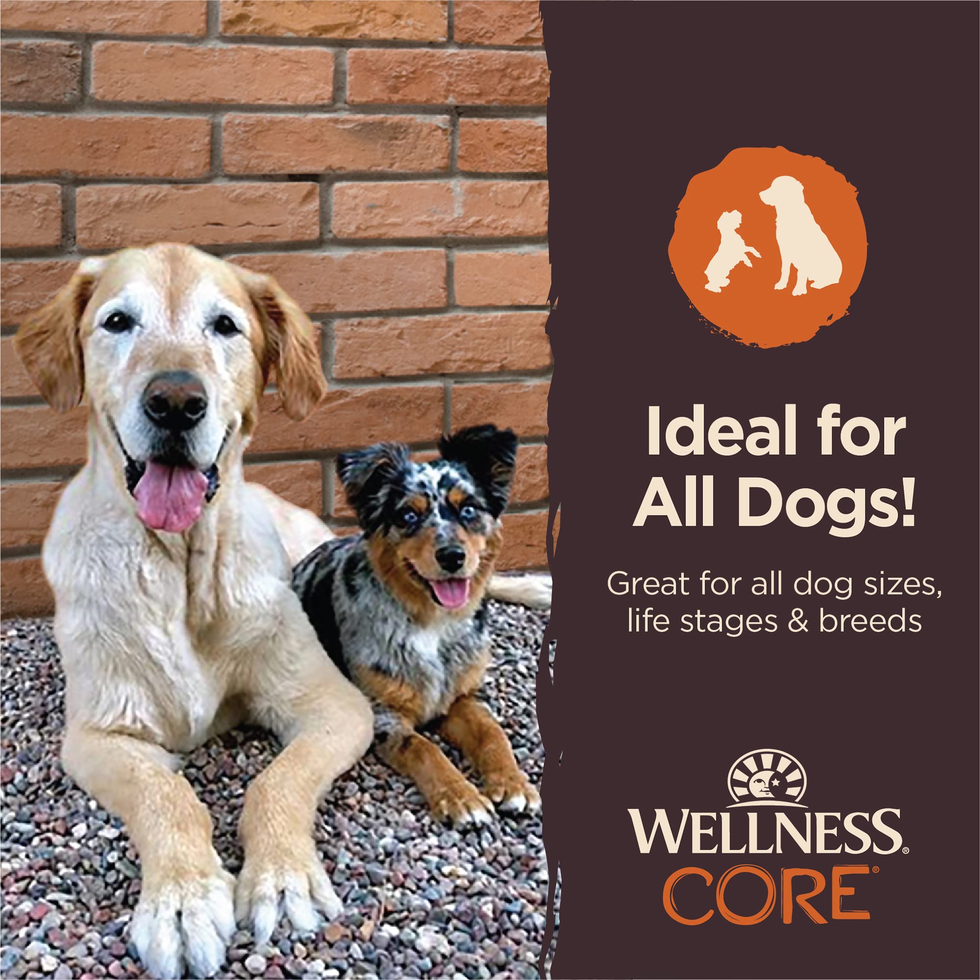Wellness CORE Power Packed Dog Treats, Grain-Free Tender Jerky Treats, Made in USA (Chicken & Lamb Recipe, 4-Ounce Bag)