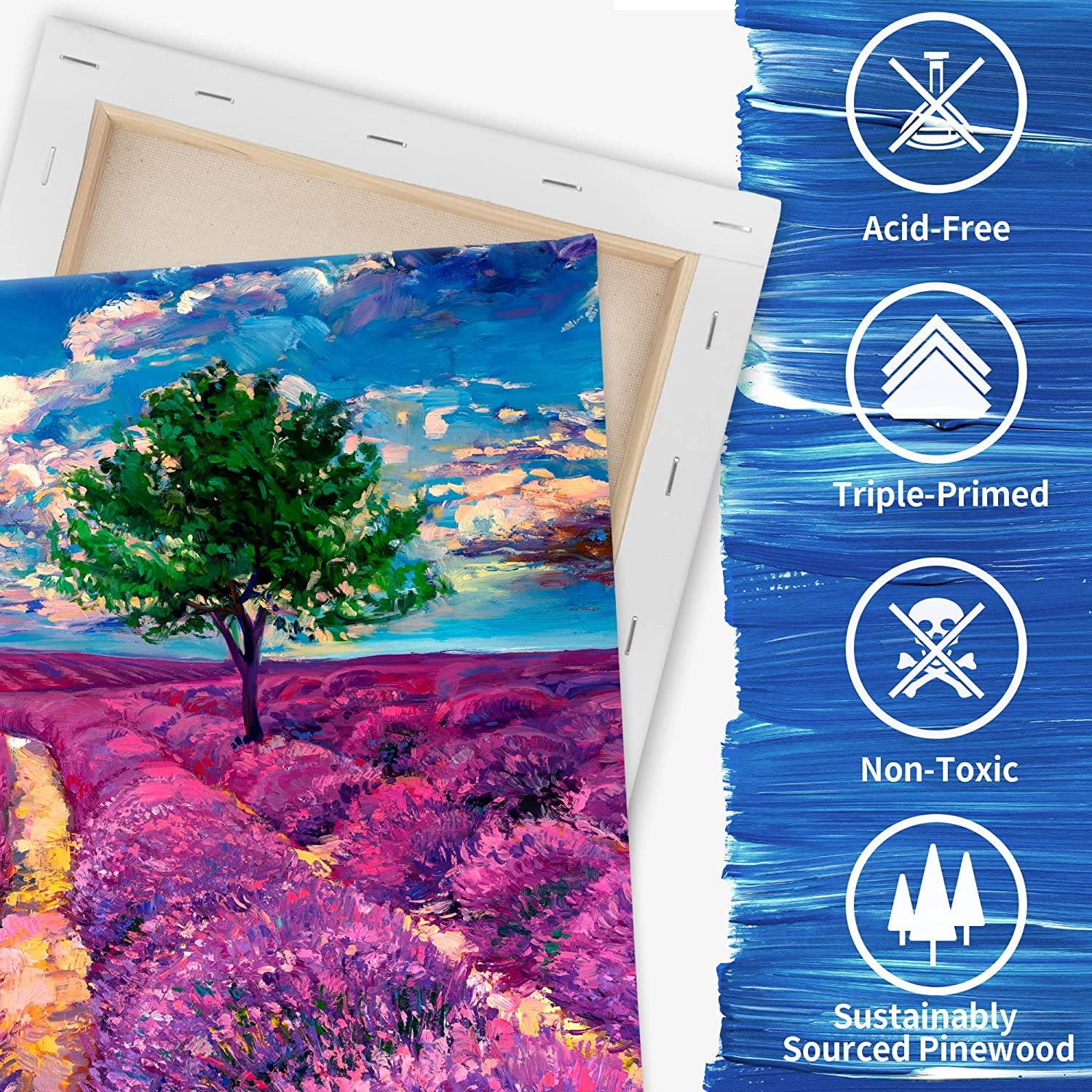 FIXSMITH Stretched Canvas for Painting- 8x10 Inch,Bulk Pack of 12,Primed,100% Cotton,5/8 Inch Profile of Super Value Pack for Acrylics,Oils & Other Painting Media.