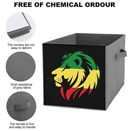 Rasta Lion Collapsible Storage Bins Basics Folding Fabric Storage Cubes Organizer Boxes with Handles