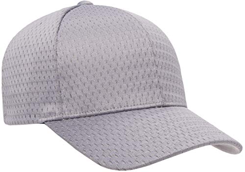 Flexfit mens Athletic Mesh Hat, Silver, One Size US