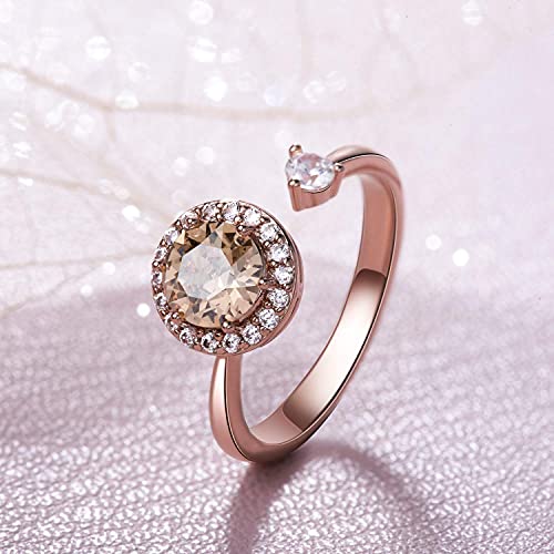 Fonsalette Fidget Ring Birthstone Rings for Women Thumb Rings Fidget Ring Women Rose Gold Ring Spinner Ring Anxiety Ring for Women Cubic Zirconia Ring