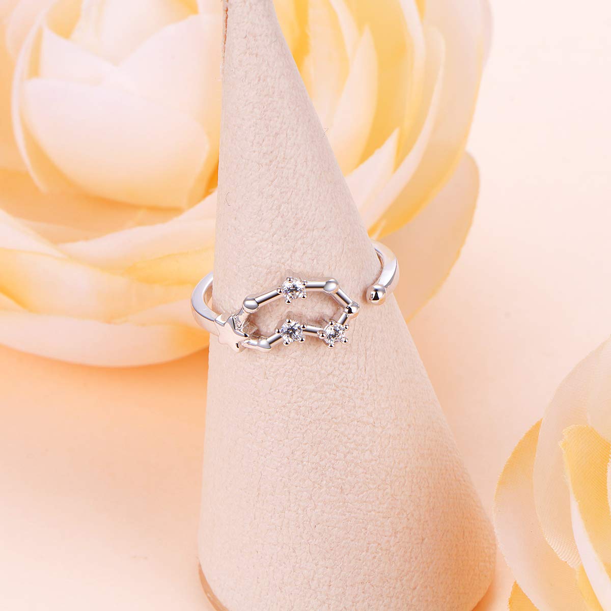 FLYOW 925 Sterling Silver CZ Constellation Astrology Star Zodiac Adjustable Open Capricorn Ring Birthday Gift for Women Girls Daughter, Size 7