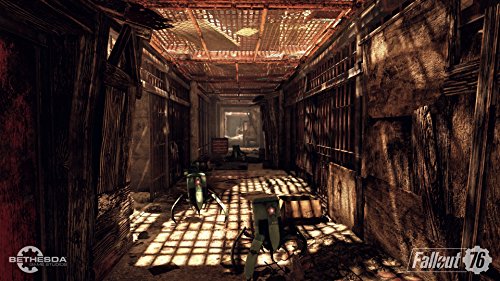 Fallout 76 (PS4)