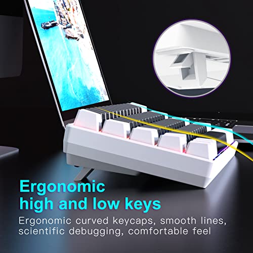 RAZEAK Portable 60 Percent Keyboard, Compact 61 Keys Mini Mechanical Keyboard for PC/Mac Gamer Switchable Colorful Backlit - Blue Switch - White+Black