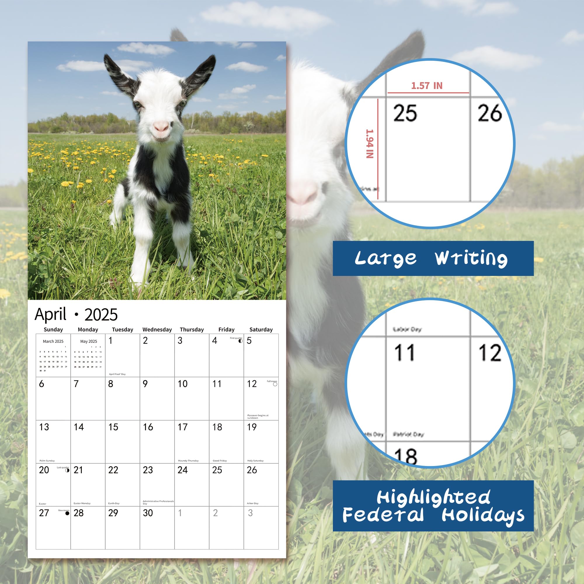 Gag Gift D'ck Pics Nature 2024 Wall Calendar, White Elephants Funny Stone 14 Monthly Calendar 12" x 24" Opened, November 2023 - December 2024,Full Page Thick & Sturdy for Organizing & Planning