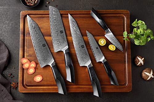 XINZUO 5-piece Damuscus Kitchen Knife Set,67 Layer Hand Forged Damascus Steel Professional Chef Knife Set with Gift Box, G10 Black Handle,Razor Sharp-Feng Series