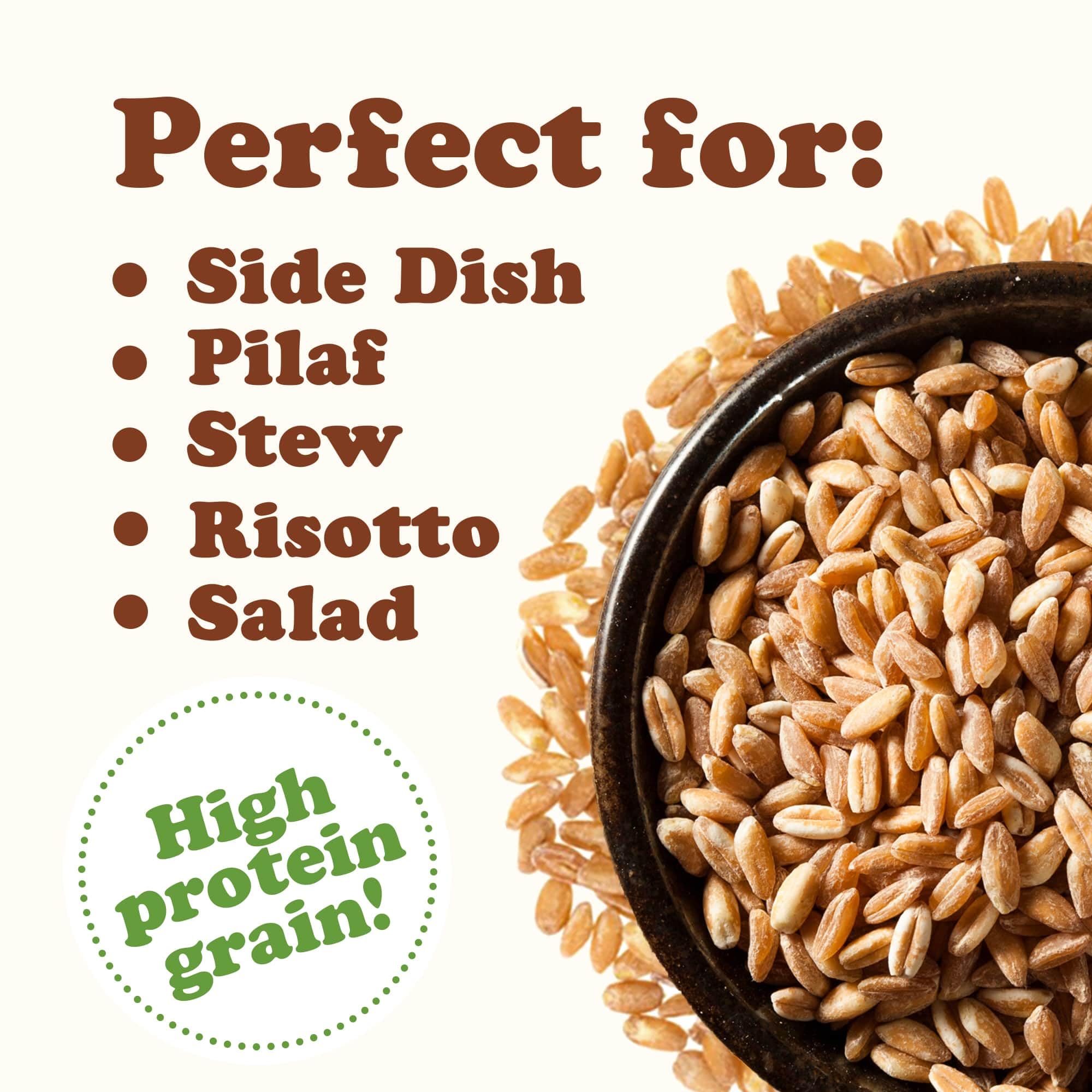 Food to Live Pearled Farro Grain, 1 Pound β Kosher, Vegan, Whole Grain in Bulk, Good Source of Dietary Fiber, Protein and Iron