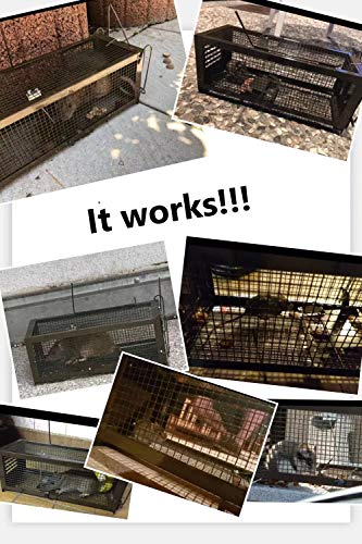 RatzFatz Mouse Trap Humane Live Cage, Catch and Release Mice, Rats, Chipmunks, Small Squirrels and Other Rodents, Sensitivity Adjustable, Pedal Design