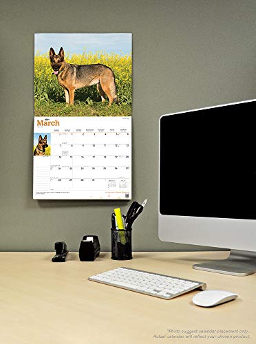 For the Love of Yorkshire Terriers 2021 Calendar: Foil Stamped Cover