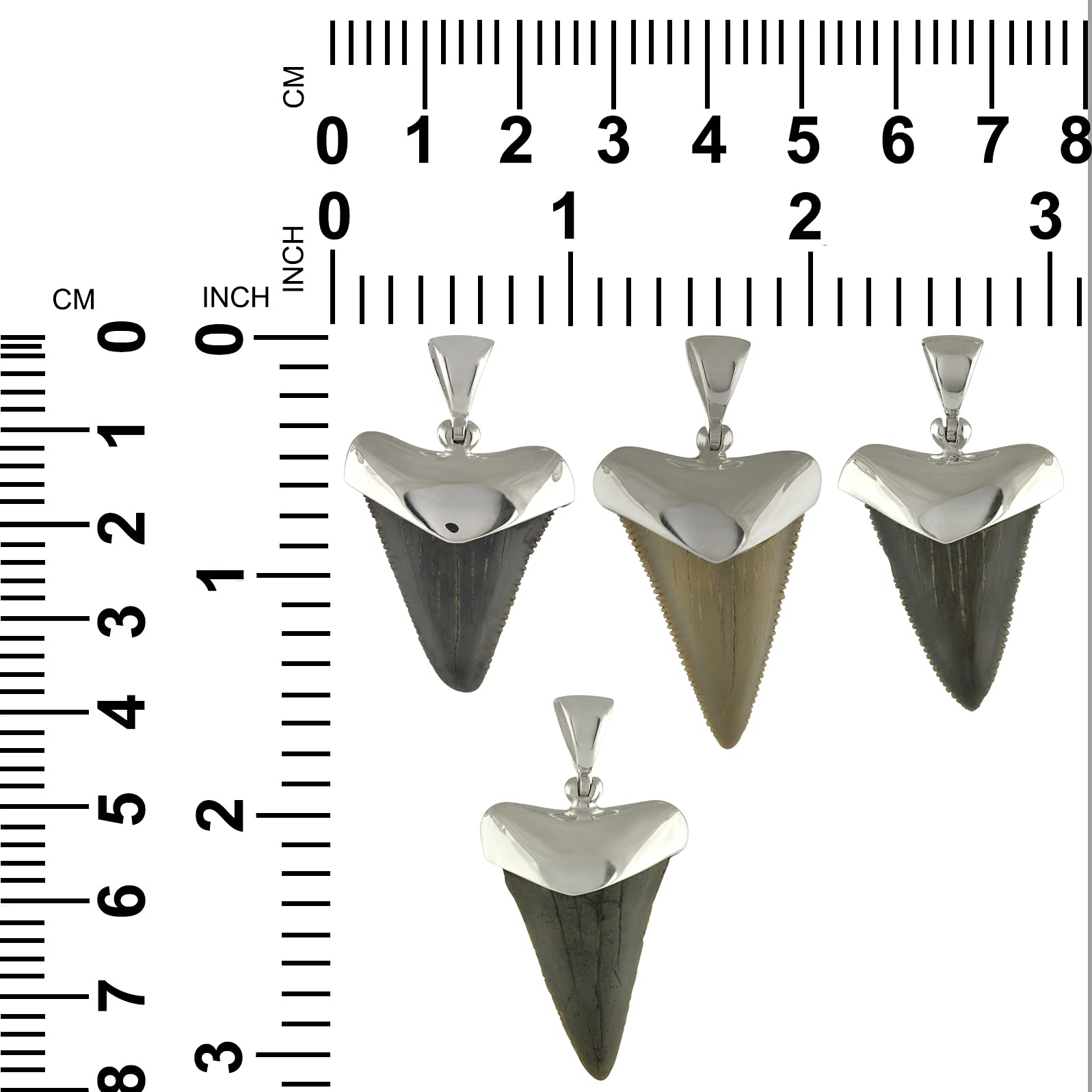 Fossil Shark Tooth Sterling Silver Cap-Set Pendant - Medium