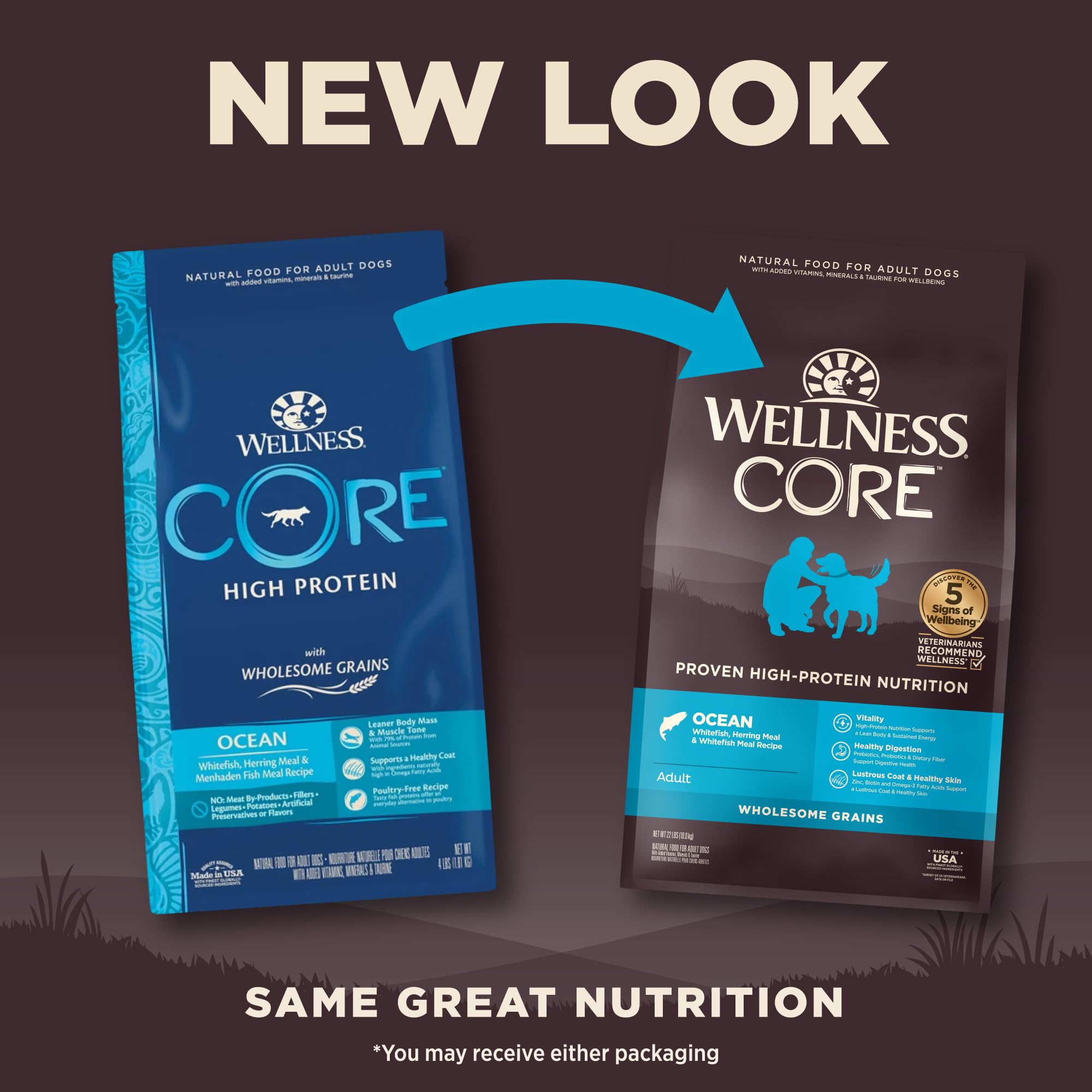 Wellness CORE Wholesome Grains Ocean Recipe, 22 Pound Bag