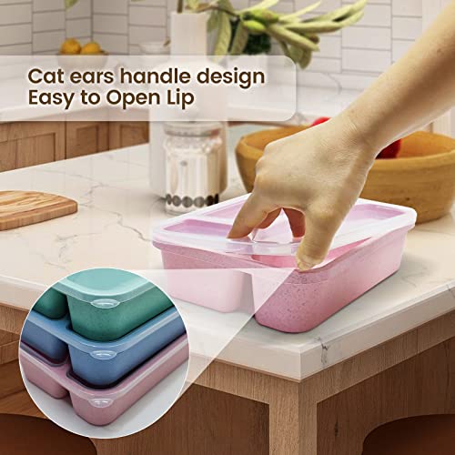 SHALORY 4 Pack Bento Lunch Box for Kids,4 Compartment Divided Meal Prep Sncak Container,Freezer Microwave and Dishwasher Safe Food Storage,Reusable Bento Adult Lunch Box for School Work Travel