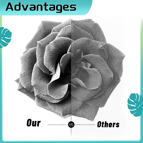 for Xerox B8145 Toner Cartridge High Yield Compatible for AltaLink B8145 B8155 B8170 Printer 1 Pack Black