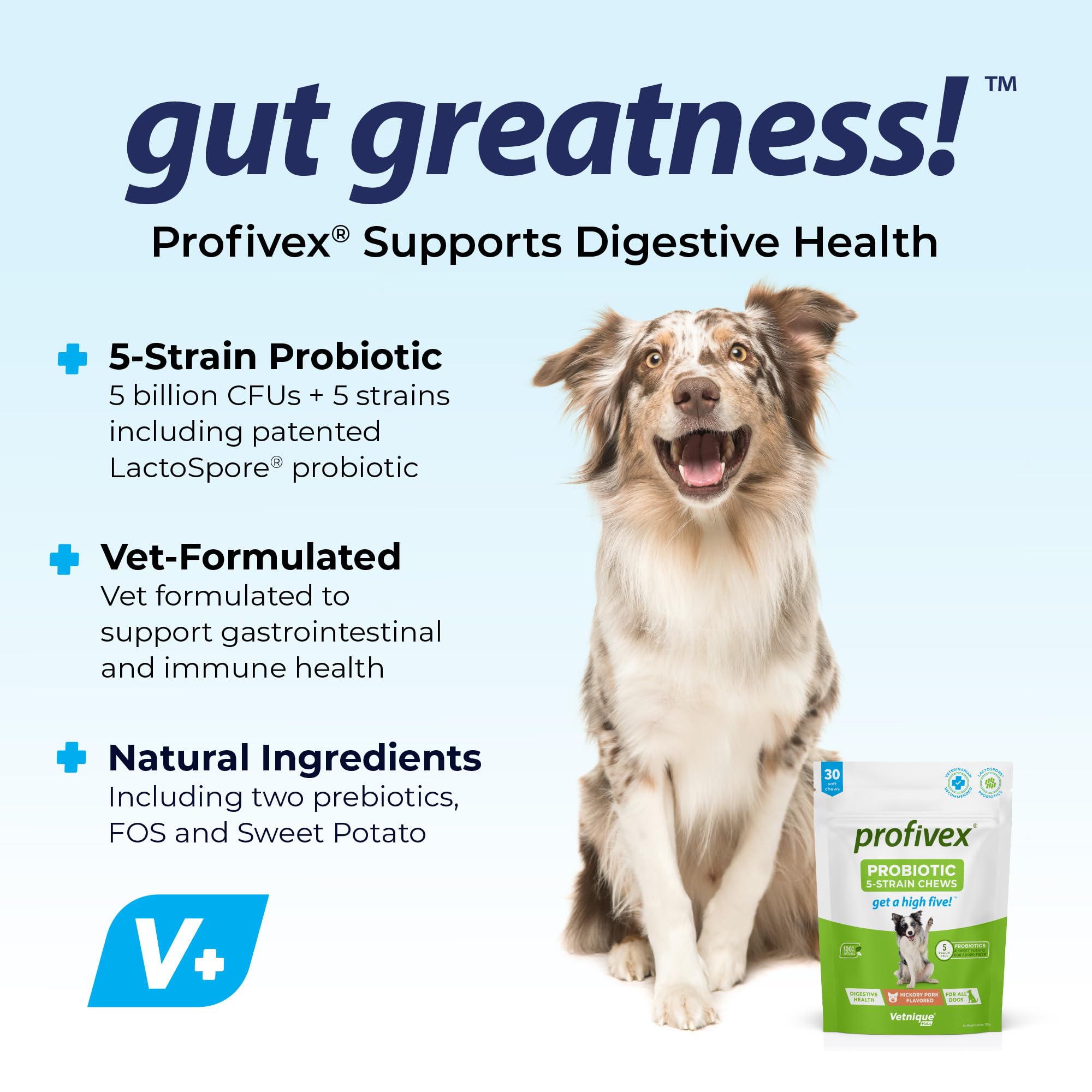 Vetnique Profivex 5-Strain Probiotic for Dogs Soft Chews (30ct) & Glandex for Dogs Anal Gland Fiber Support Peanut Butter Soft Chews (120ct) Bundle