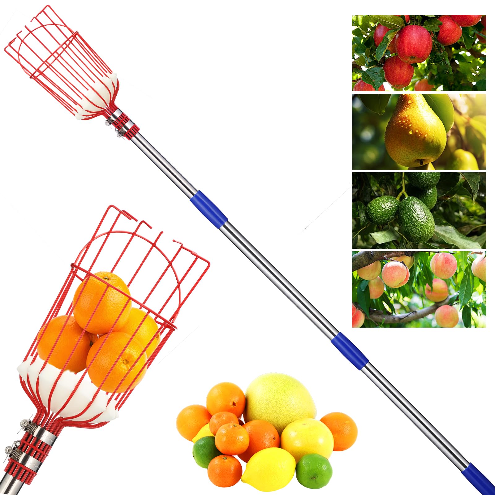 Fruit Picker, 5.5FT Adjustable Fruit Picker with Basket, Long Handle Fruit Catcher Tool for Apple Mango Pear Orange Avocado Lemon Citrus Tree Picker