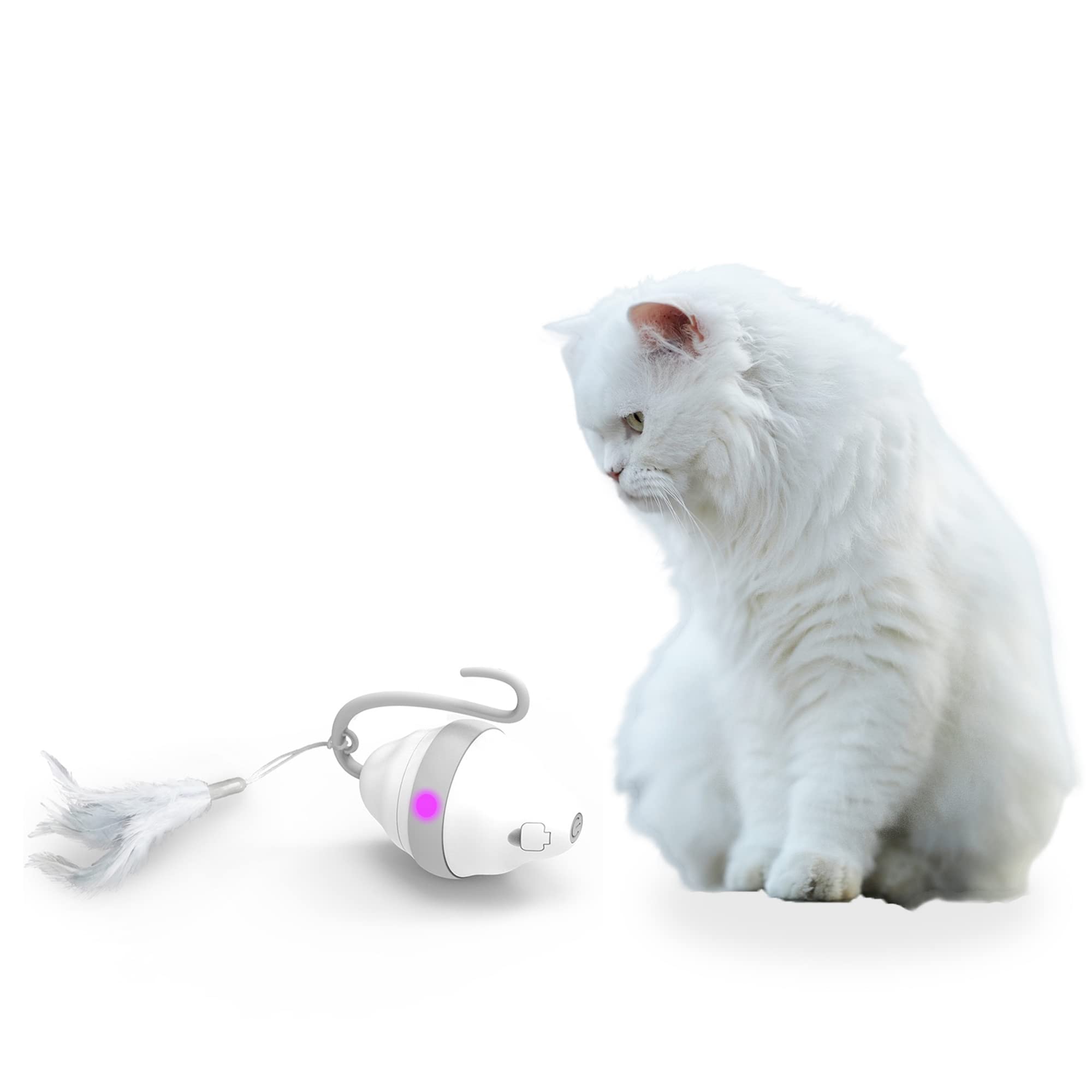Found Notice Interactive Cat Toy - N in 1 Automatic Moving Ball with LED Lights, Mice Feather Toys for Cats/Puppies, Two Speeds, and USB Rechargeable (Grey)