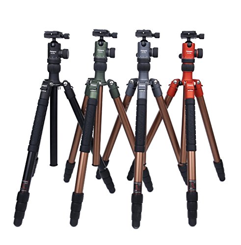 Fotopro X-Go Chameleon Tripod Kit, Green/Brown, Plus, FPXGO Chameleon FPXGO Chameleon Green