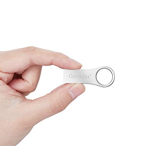 GARRULAX USB Flash Drive, 8GB / 16GB / 32GB / 64GB USB 2.0 Metal USB Memory Stick Date Storage Pendrive Thumb Drives (32GB, Silver)