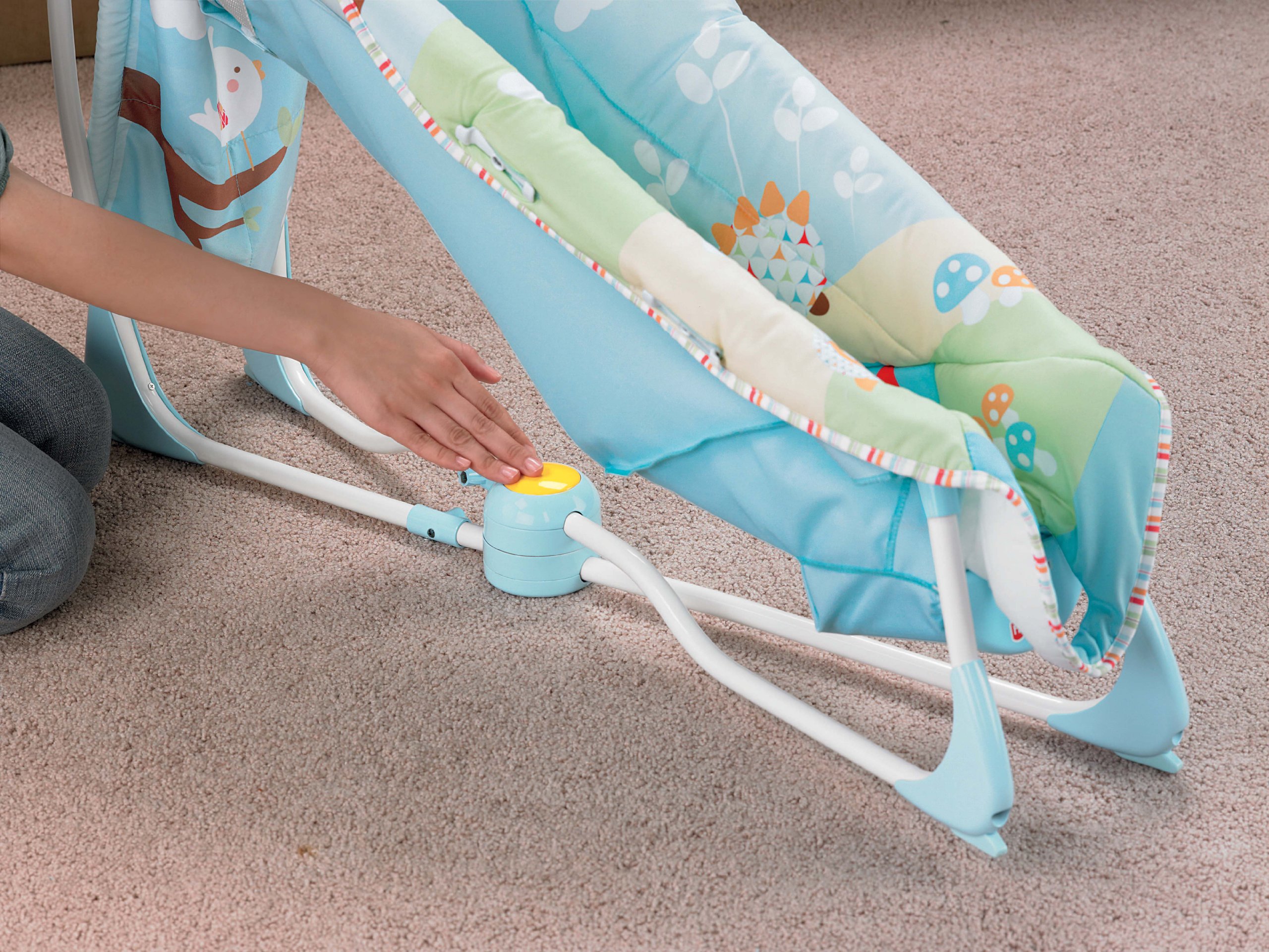 Fisher-Price Soothe & Go Bouncy Seat