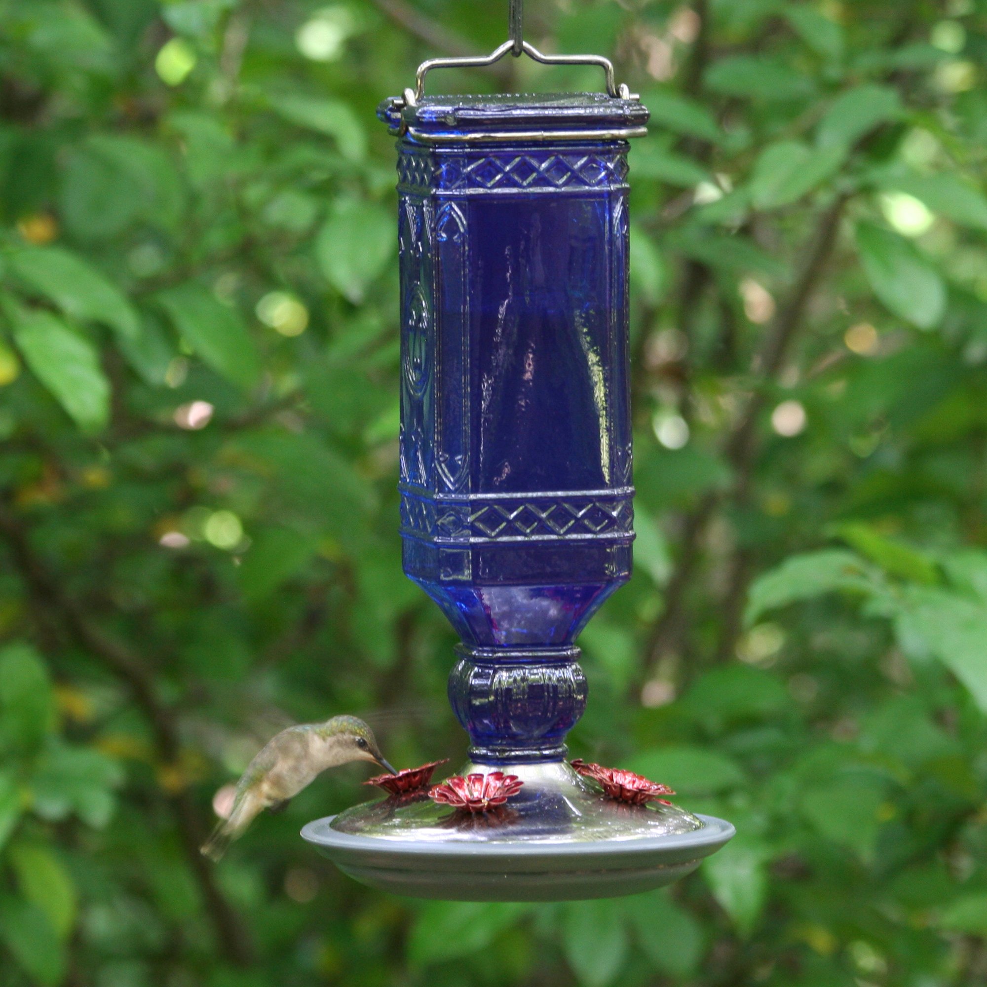 Perky-Pet 8117-2 EMW8207110, Medium, Cobalt blue Antique