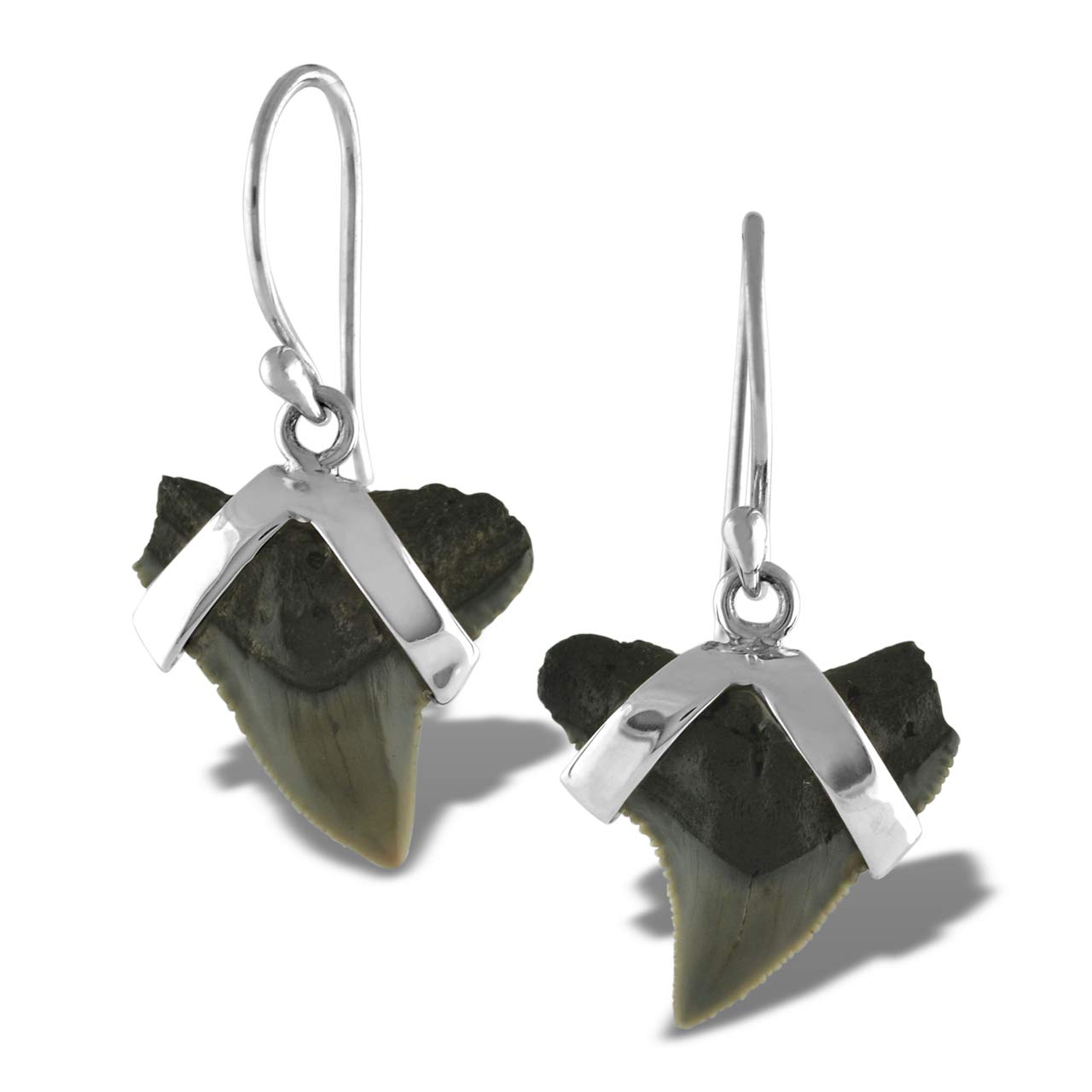 Fossil Shark Tooth Sterling Silver Earrings