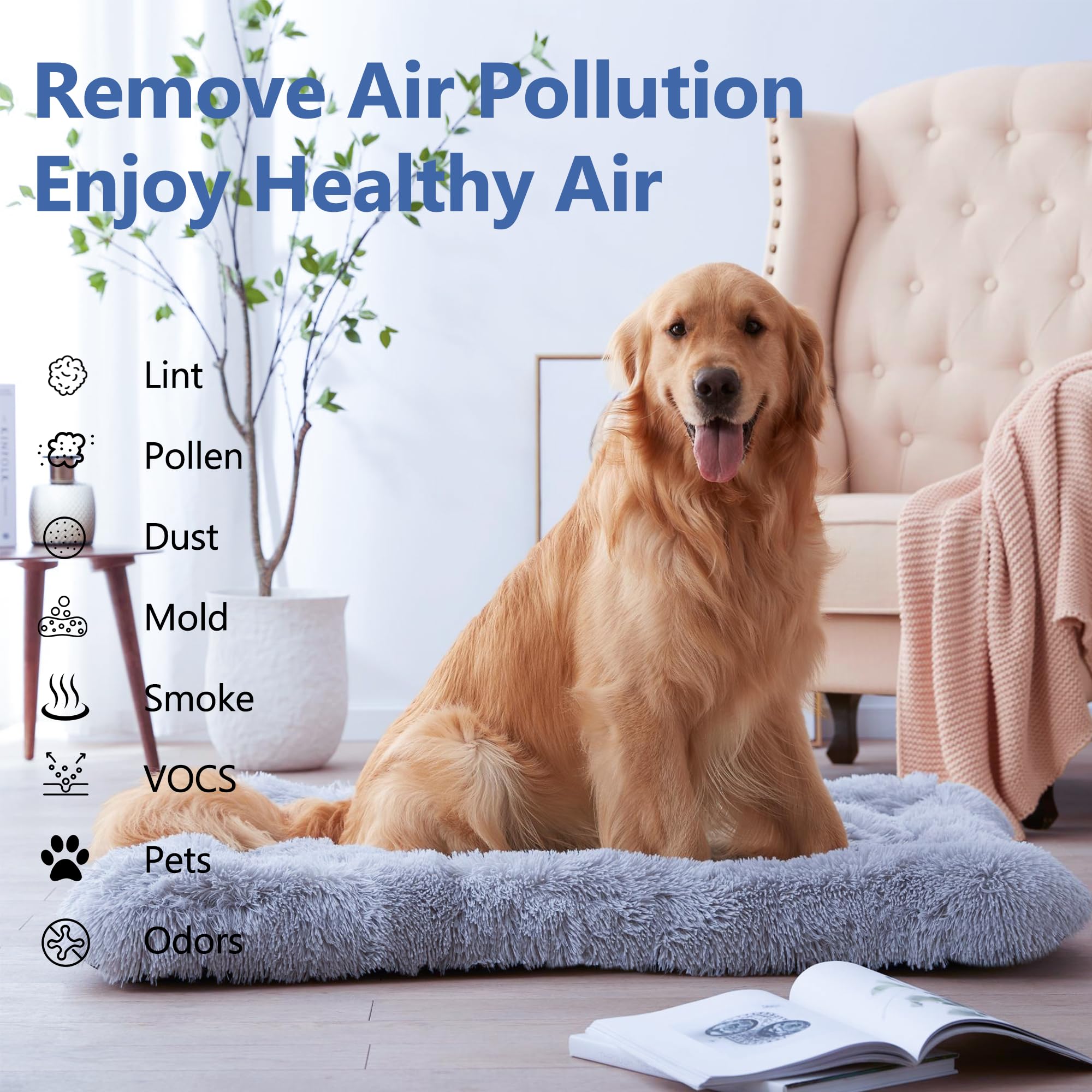 FLT4825 HEPA Filter B Replacement for Guar.dian Air Purifier AC4825 AC4300 AC4800 AC4900 AC4850, 4 HEPA Filter and 6 Pre-Filter