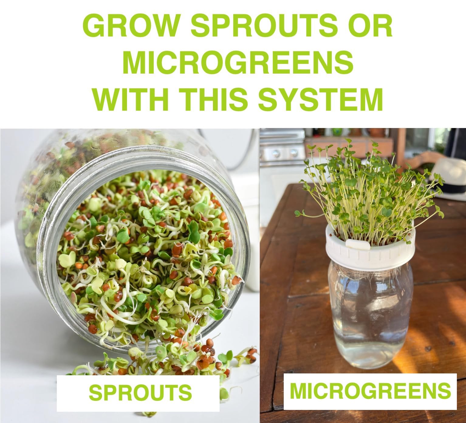 Premium Sprouts Growing Kit & Green Onion Regrower with 2 Mason Jars & Superior Sprout lids. Perfect Sprouter Set for Growing Broccoli, Alfalfa & Beans.