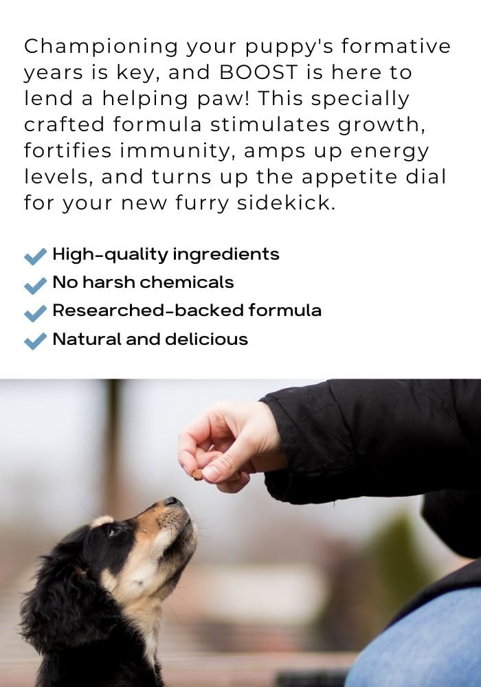 VetVittles Boost for Puppies - Natural Formative Years Support - Stimulates Growth, Strengthens Immunity, Increases Energy, and Promotes Appetite - 90 Soft Chews