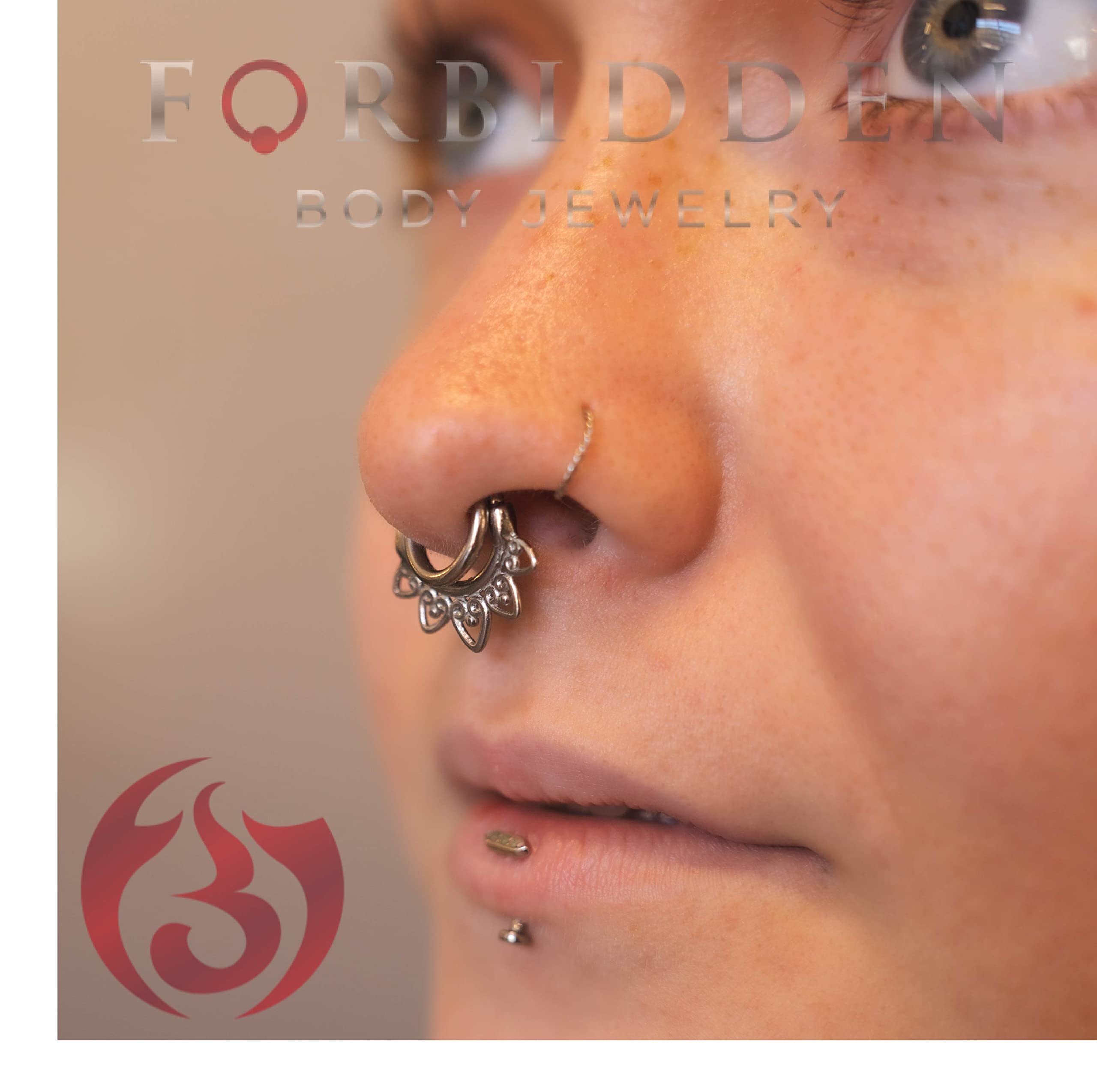Forbidden Body Jewelry 14g 10mm Surgical Steel Seamless Segment Body Piercing Hoop