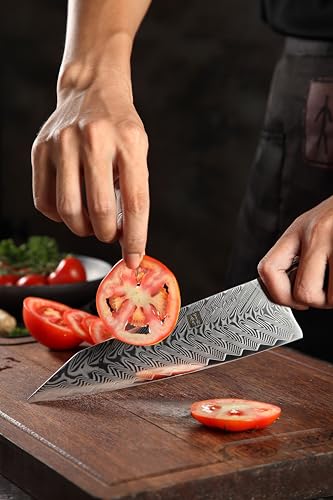 XINZUO 5-piece Damuscus Kitchen Knife Set,67 Layer Hand Forged Damascus Steel Professional Chef Knife Set with Gift Box, G10 Black Handle,Razor Sharp-Feng Series