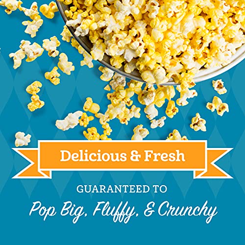 Franklin’s Gourmet Popcorn All-In-One Popcorn Packs for Popcorn Machine - 4oz Pack of 10 - Made in USA - Classic Popcorn Bags with Buttery Salt & Oil
