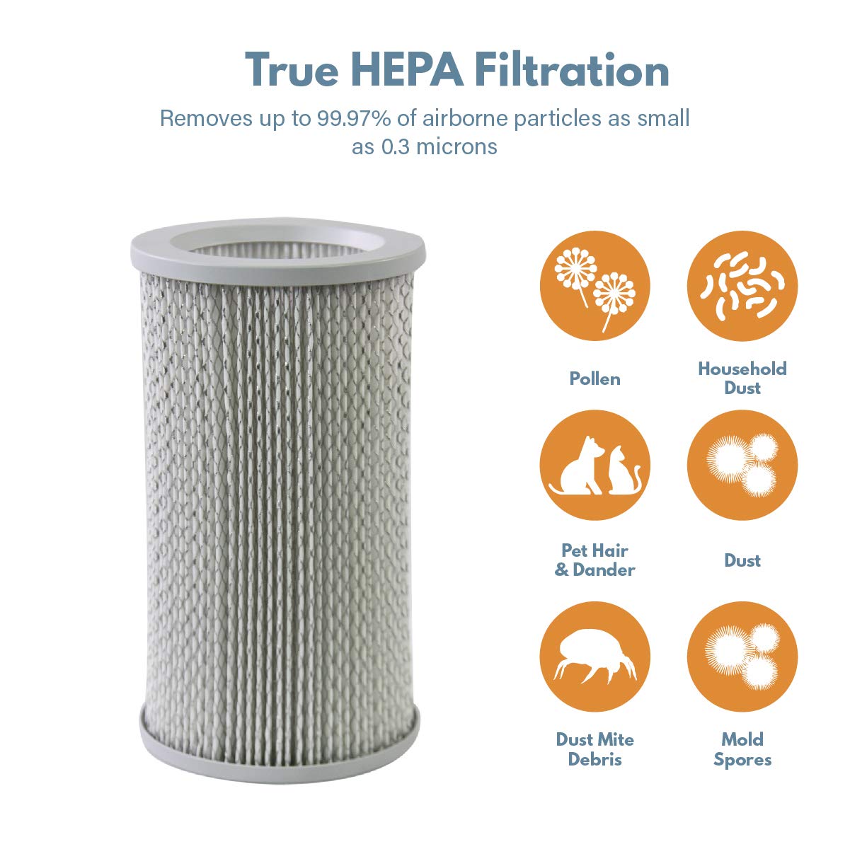 Filter-Monster β Replacement HEPA Filter with 2 Coconut Carbon Pre-Filters, Set of 3 β Compatible with Molekule PECO-Filter and Pre-Filter for Molekule Air Purifier
