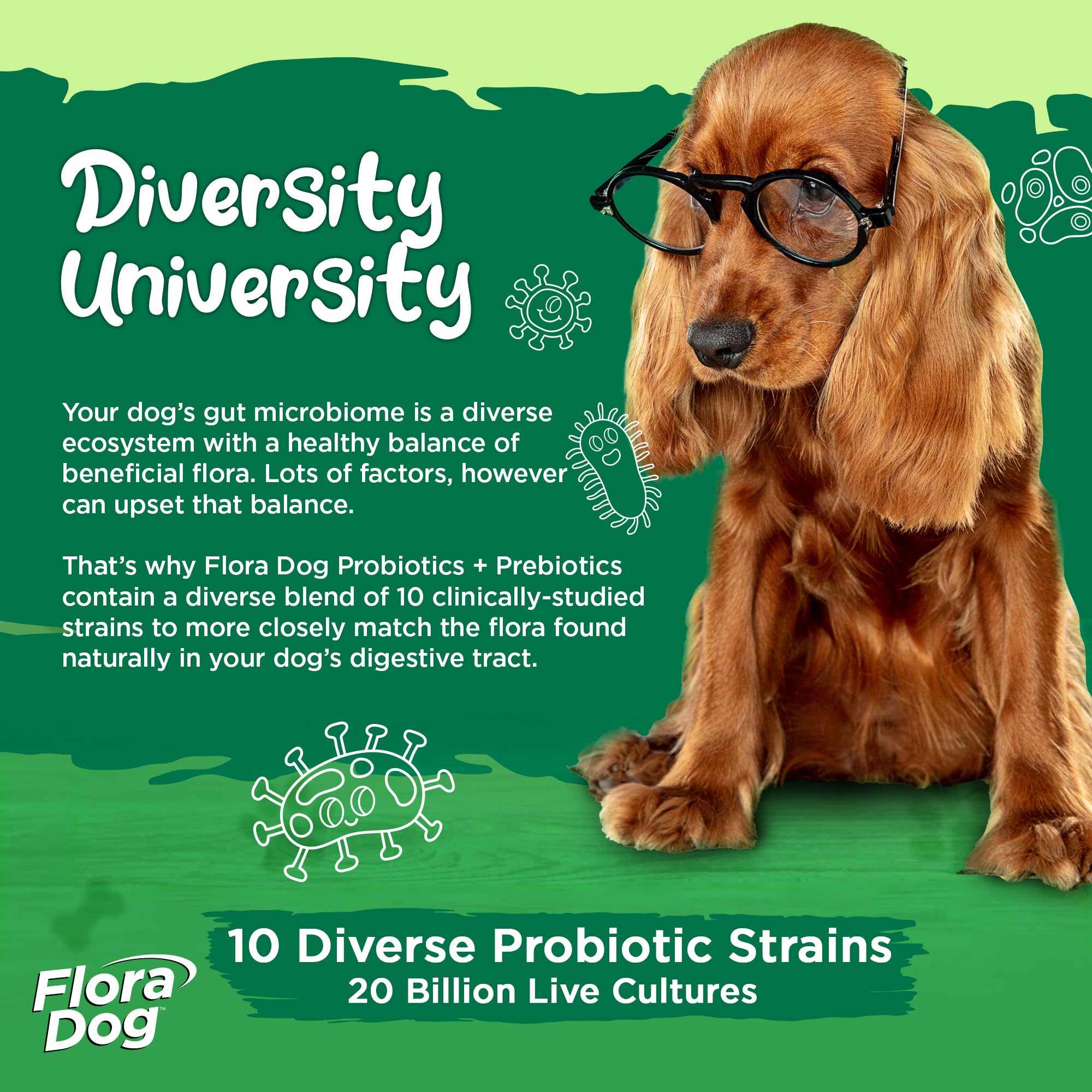 Vital Planet - Flora Dog Probiotic Powder Supplement with 20 Billion Cultures and 10 Strains, High Potency Immune and Digestive Support Probiotics for Dogs, 7.84 oz., 222 Grams, 60 Servings