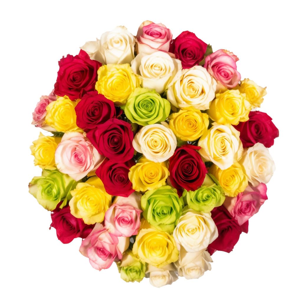 Fresh Roses- 100 Assorted Color Flowers- Lovely Gift (OM)