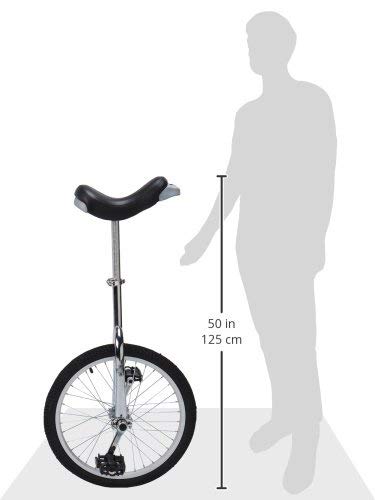 Fun 20 Inch Wheel Unicycle with Alloy Rim, Matte Black