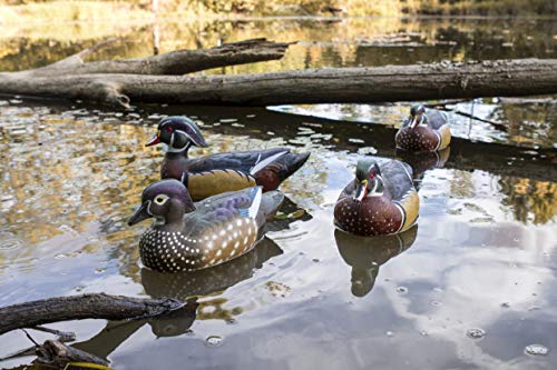 Flambeau Outdoors 8018SUV Storm Front 2 Wood Duck Decoys, Classic Floaters - 6-Pack
