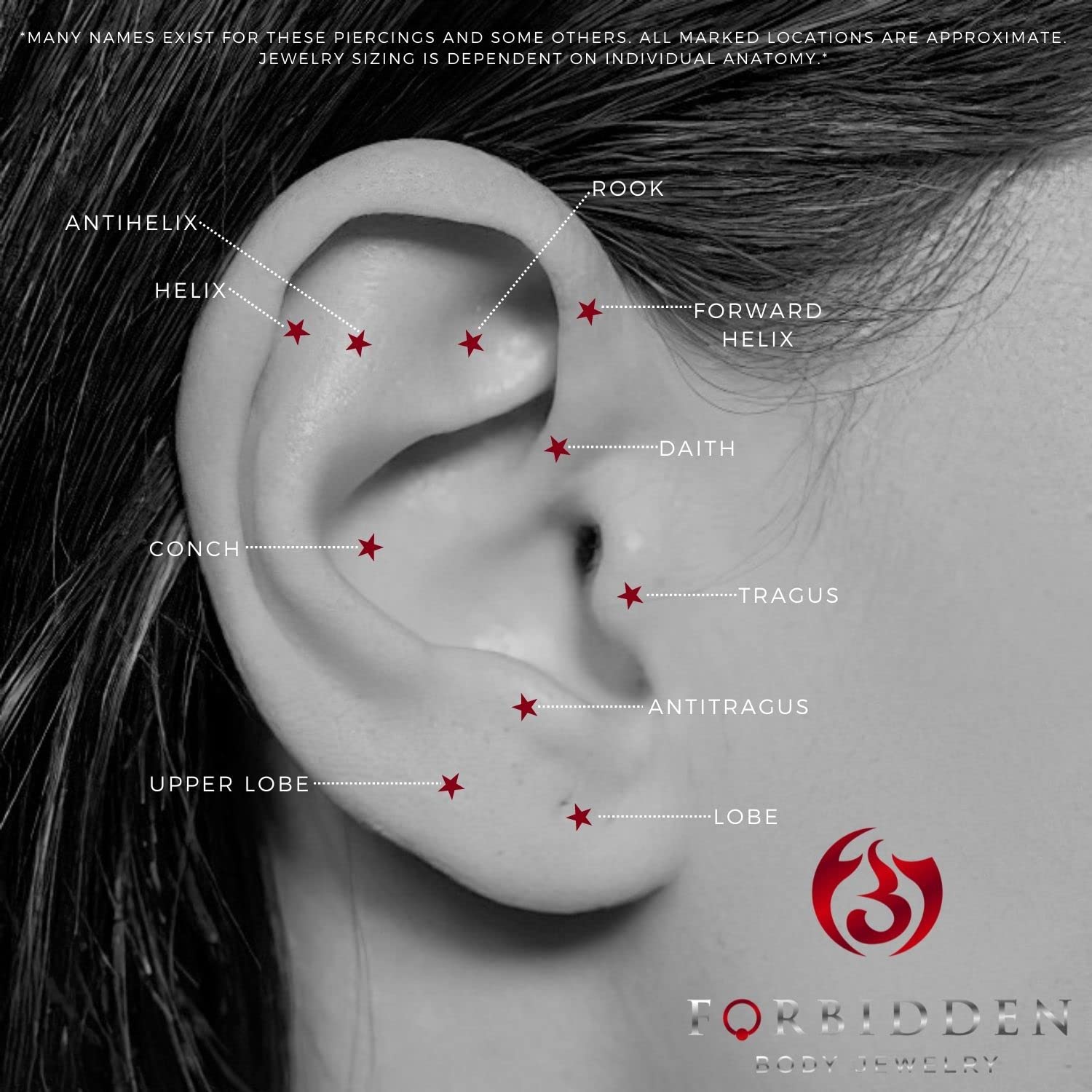 Forbidden Body Jewelry 16g Opalite Flower Tragus/Helix/Cartilage Stud Earring (Purple 2pcs)