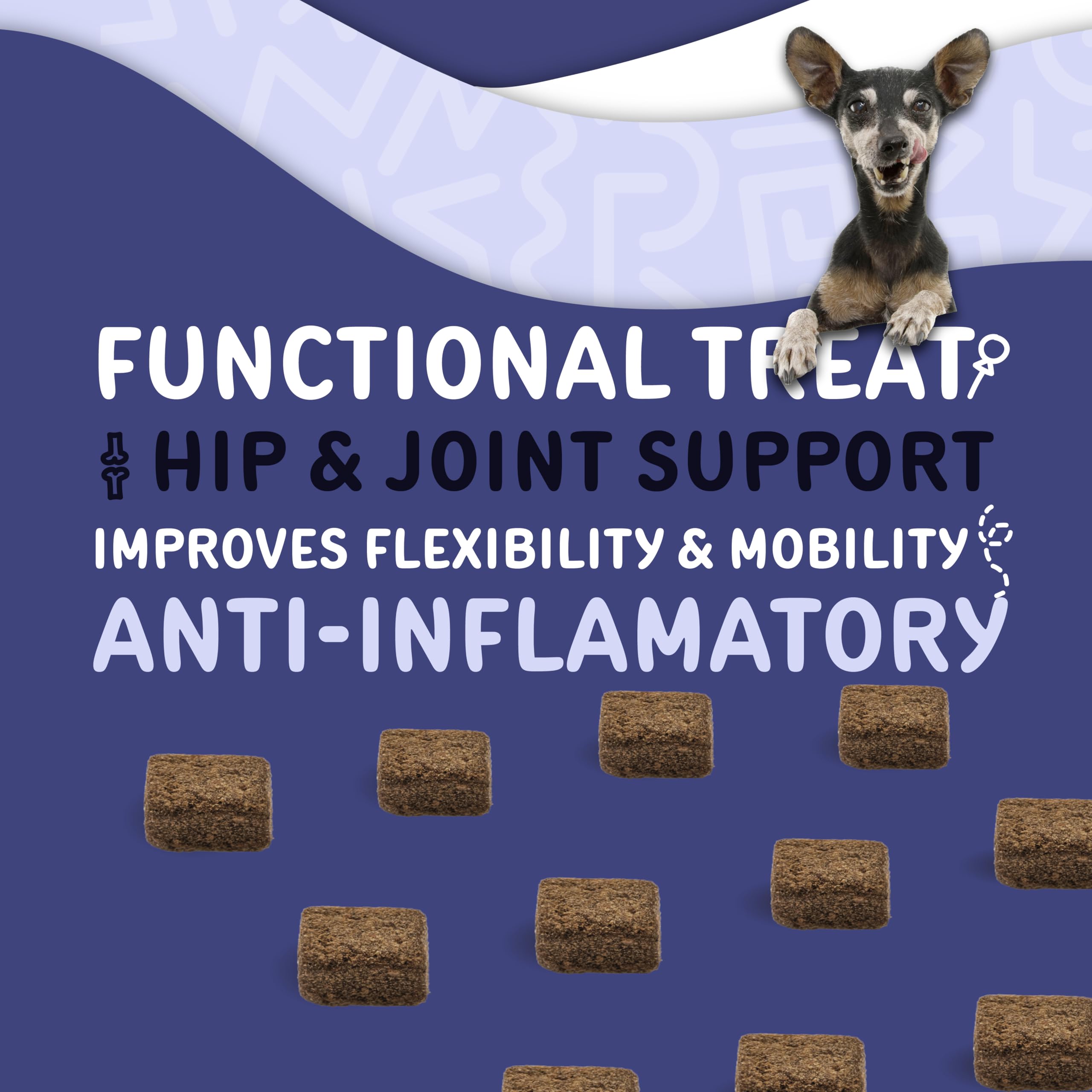 waggedy Advanced Hip and Joint Supplement Dogs with Glucosamine, Chondroitin, MSM & Fatty Acids β Daily Support Dog Health Supplements to Slow Degenerative Process Inside Joints (60 Dog Chews)