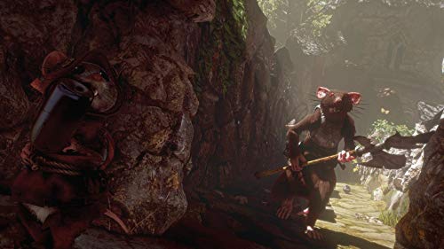 Ghost Of A Tale (PS4)