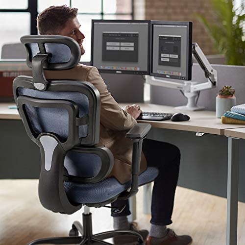 Furmax Ergonomic Office Chair Computer Desk Chair Mesh Fabric High Back Swivel Chair with Adjustable Headrest and Armrests Executive Rolling Chair with Curved Lumbar Support (Gray)