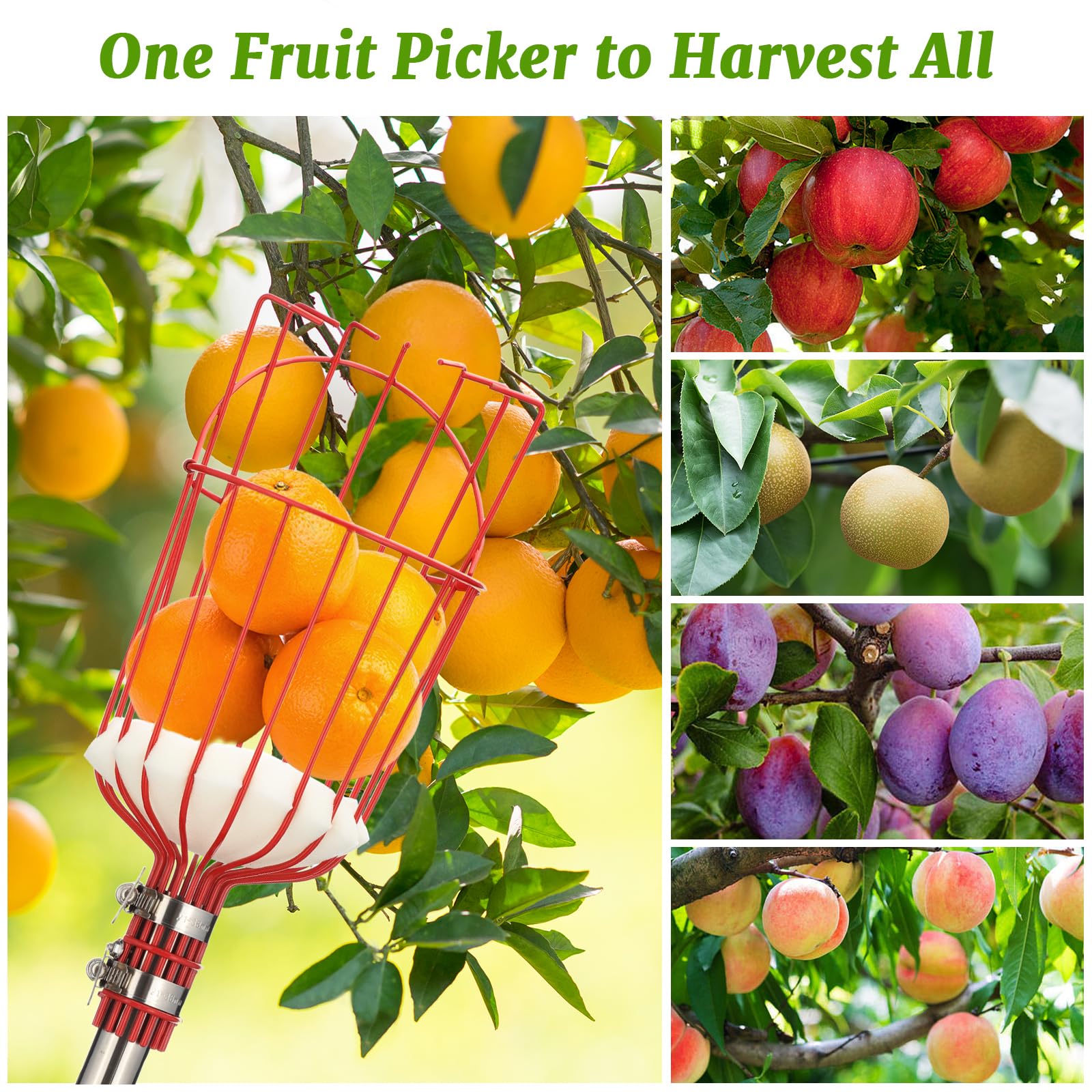 Fruit Picker, 5.5FT Adjustable Fruit Picker with Basket, Long Handle Fruit Catcher Tool for Apple Mango Pear Orange Avocado Lemon Citrus Tree Picker