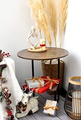 Nohle End Table for Living Room, Accent Table Round 2-Tier Tables with Storage,Small Nightstand,Black Metal Side Table H20in.